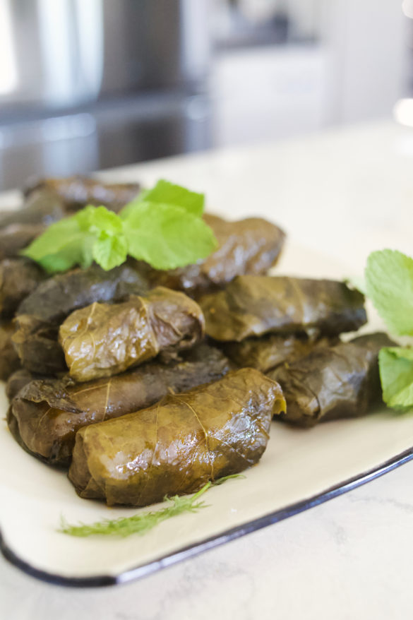 Armenian Dolma | Tolma - Kalie Stephan